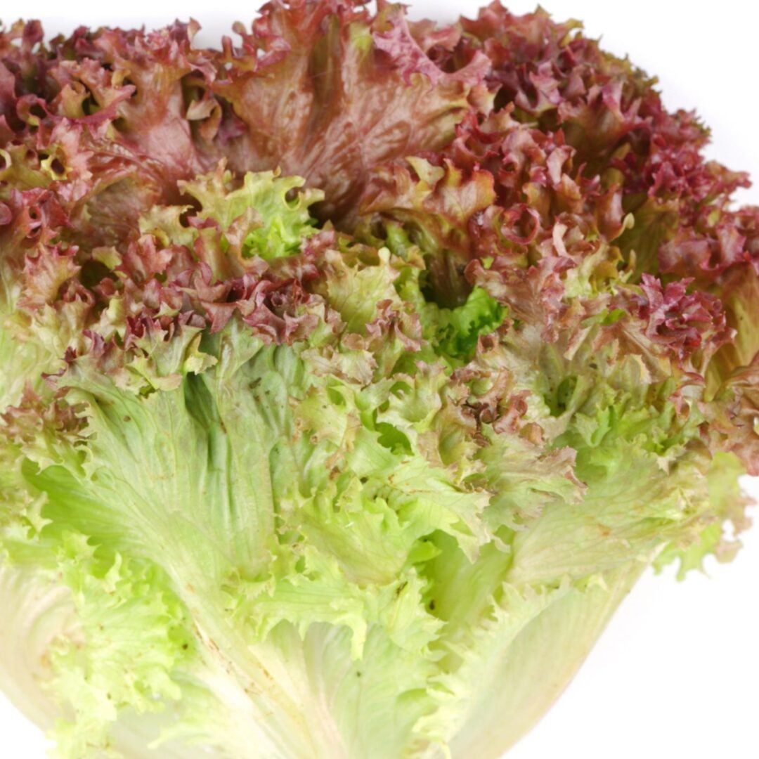 Different Types of Lettuce + Uses | Montana Happy