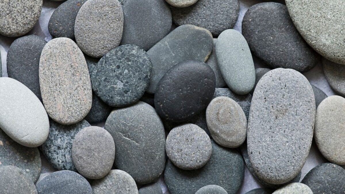 Stone Painting for Kids: Book Review | Montana Happy