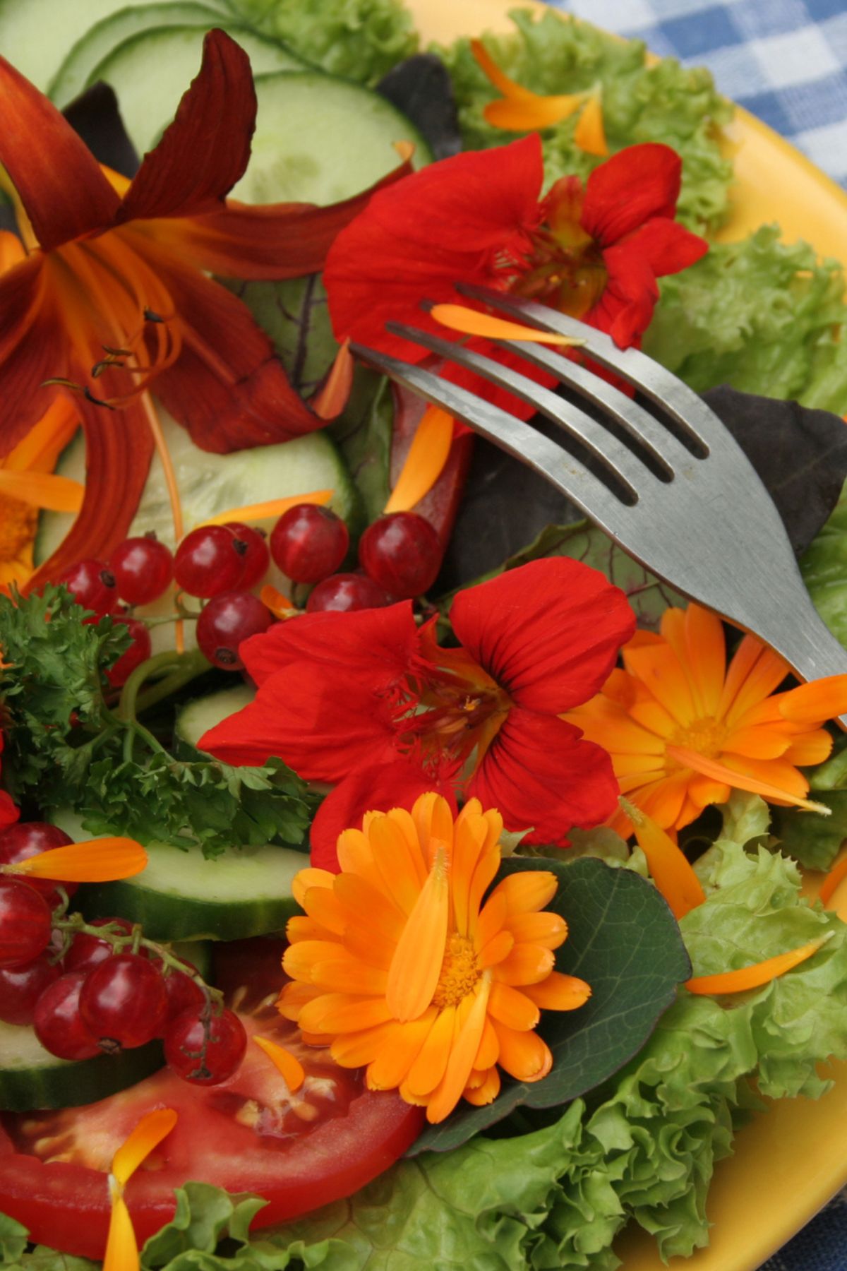 Are Marigolds Edible? + Marigold Recipes | Montana Happy