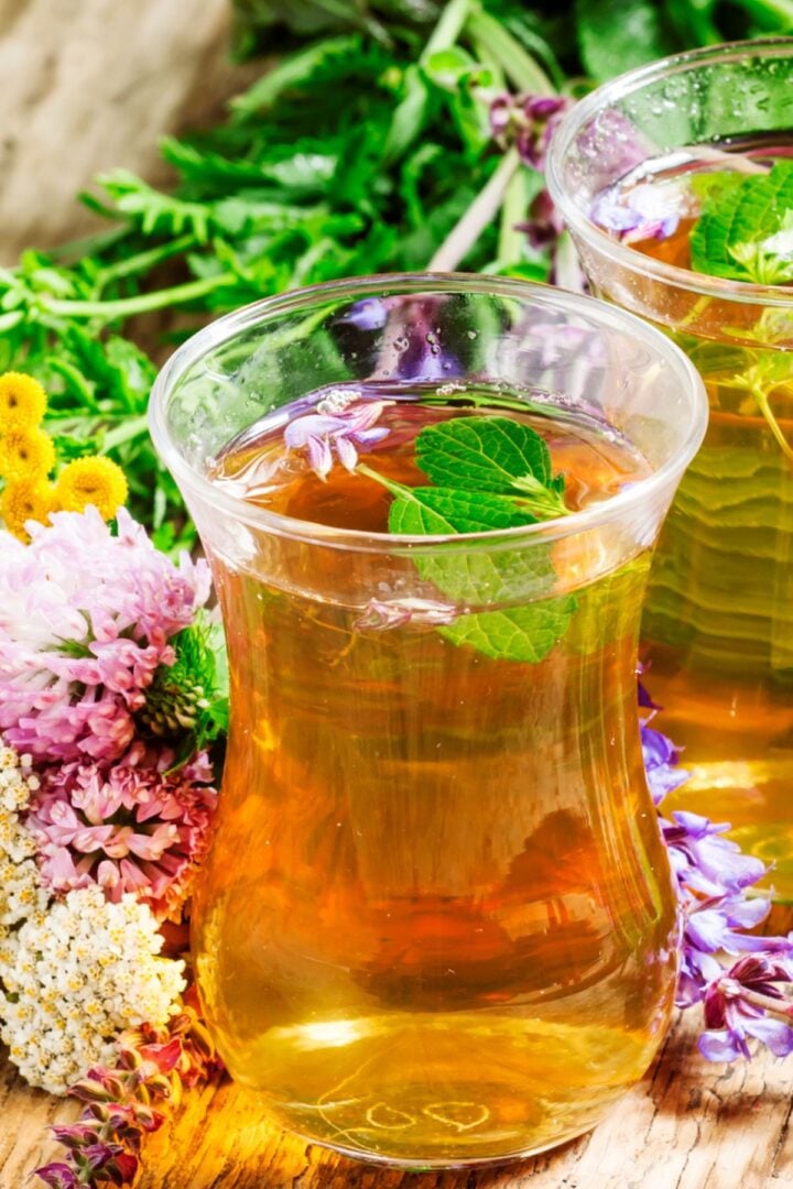 How to Grow Your Own Tea Garden - Great IDEAS! | Montana Happy