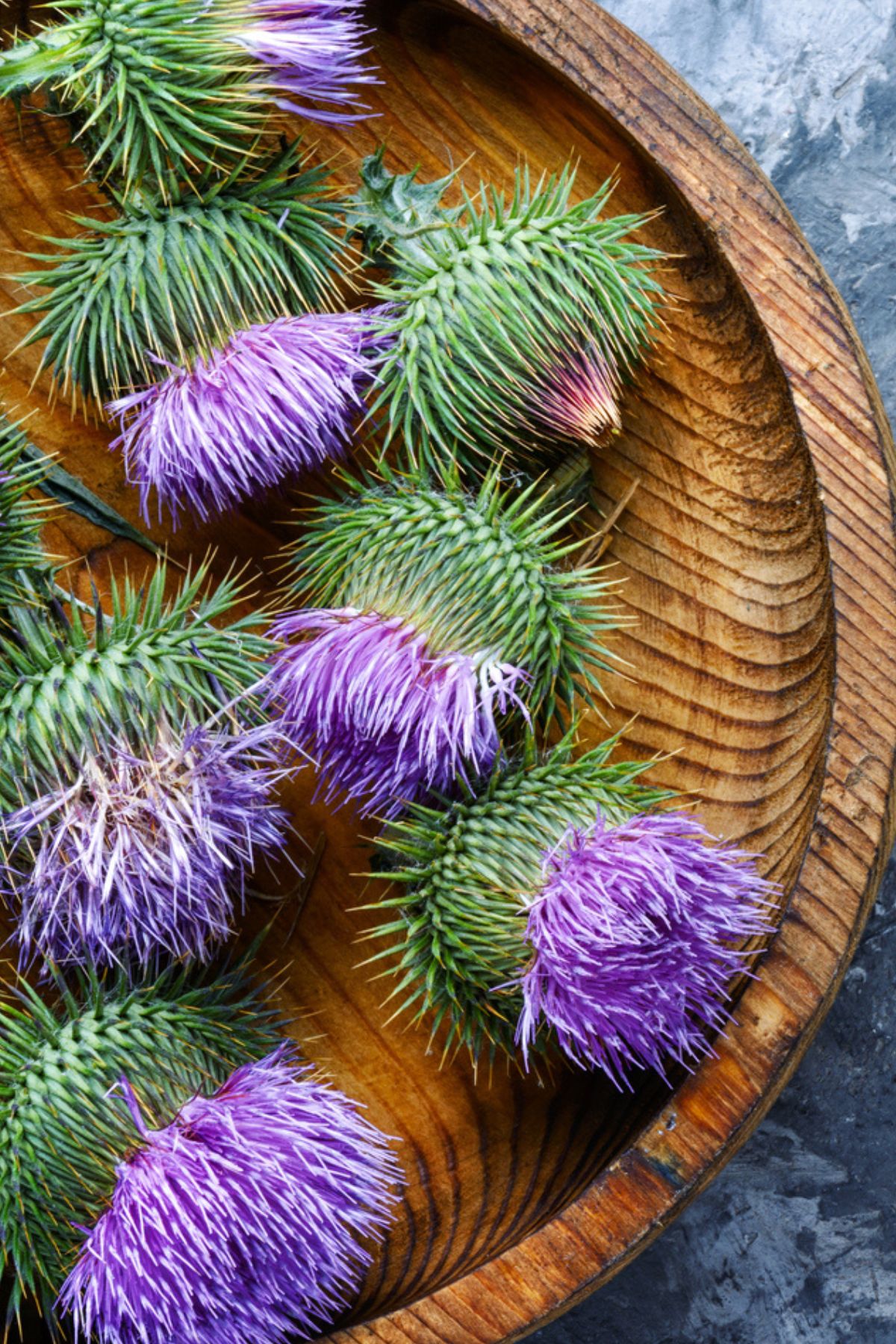 How to Grow Your Own Tea Garden - Great IDEAS! | Montana Happy