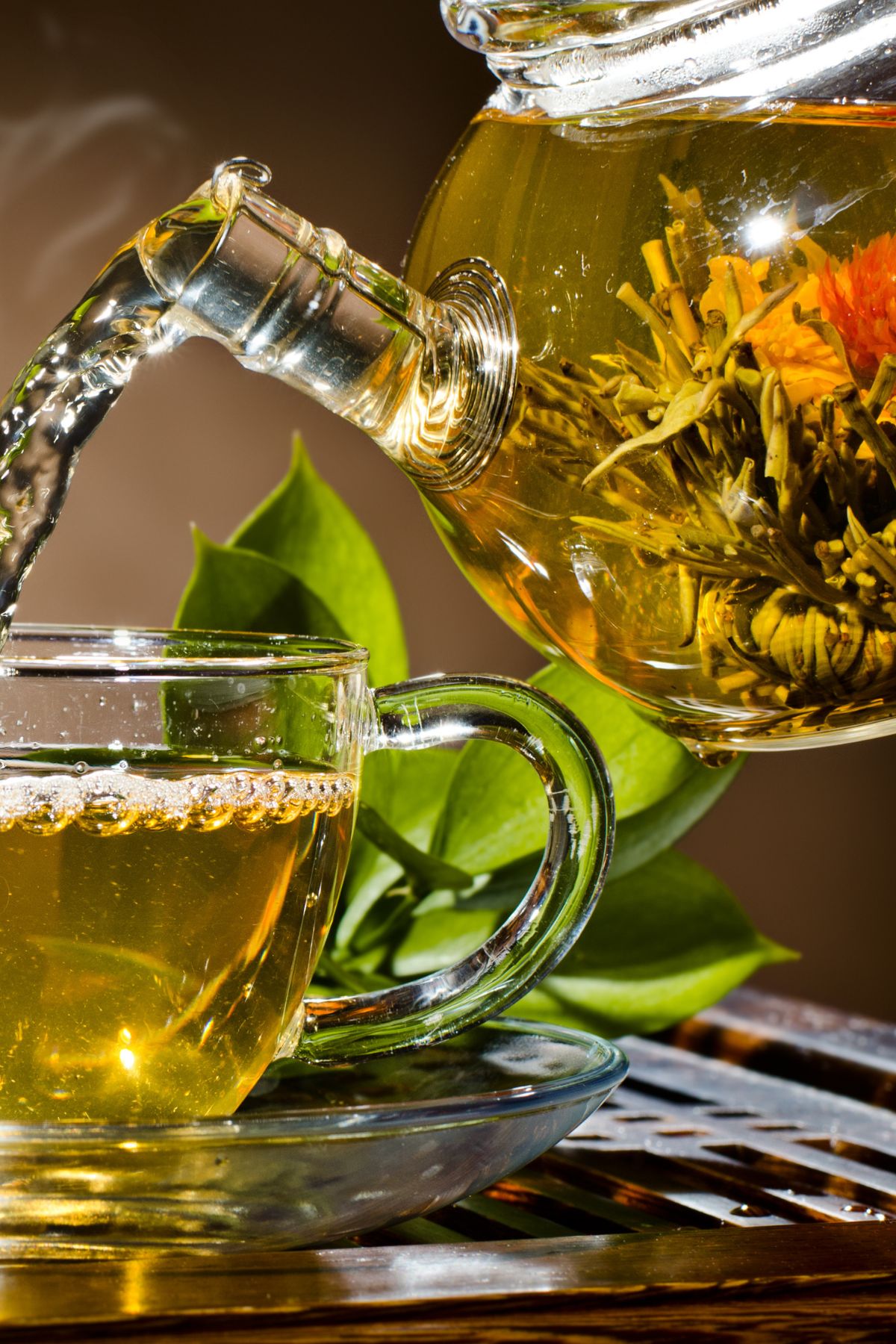 How to Grow Your Own Tea Garden - Great IDEAS! | Montana Happy