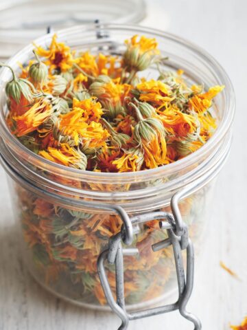 Are Marigolds Edible? + Marigold Recipes | Montana Happy