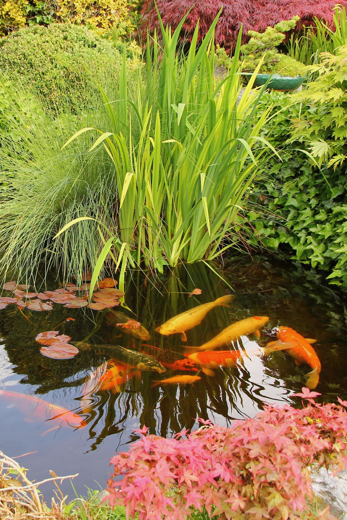 The Best Garden Themes You'll Love! | Montana Happy