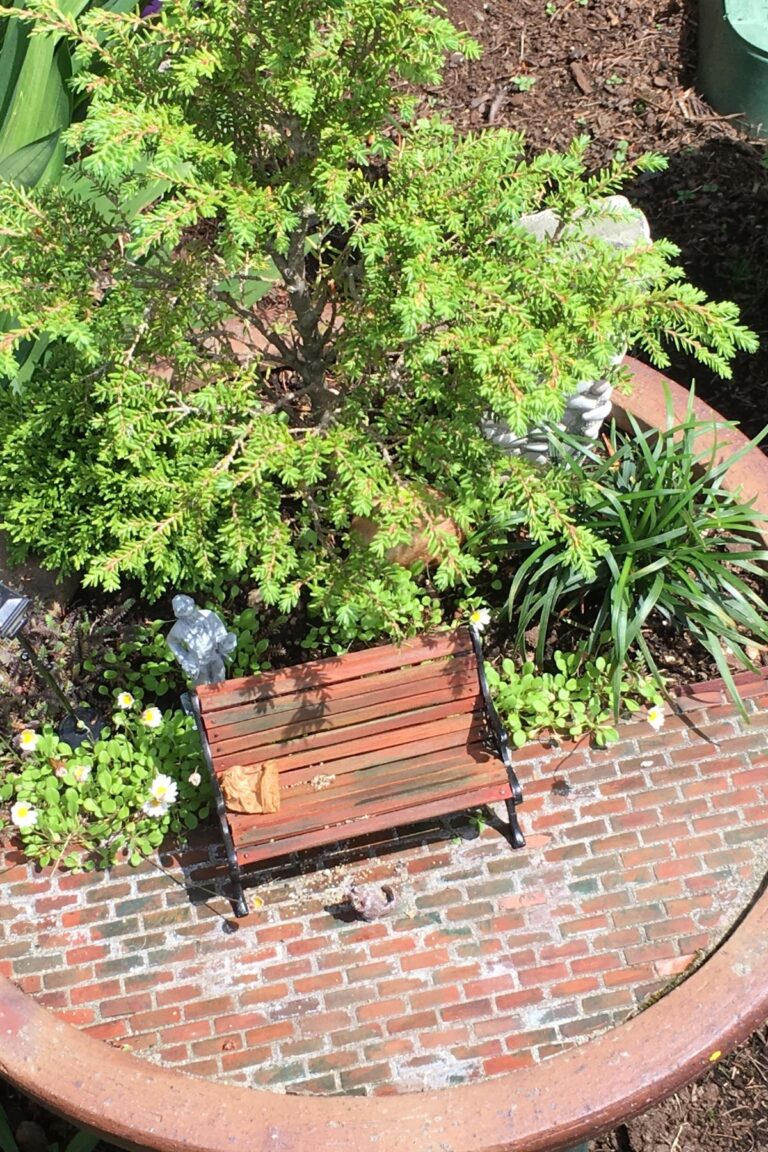 The Best Garden Themes You'll Love! | Montana Happy