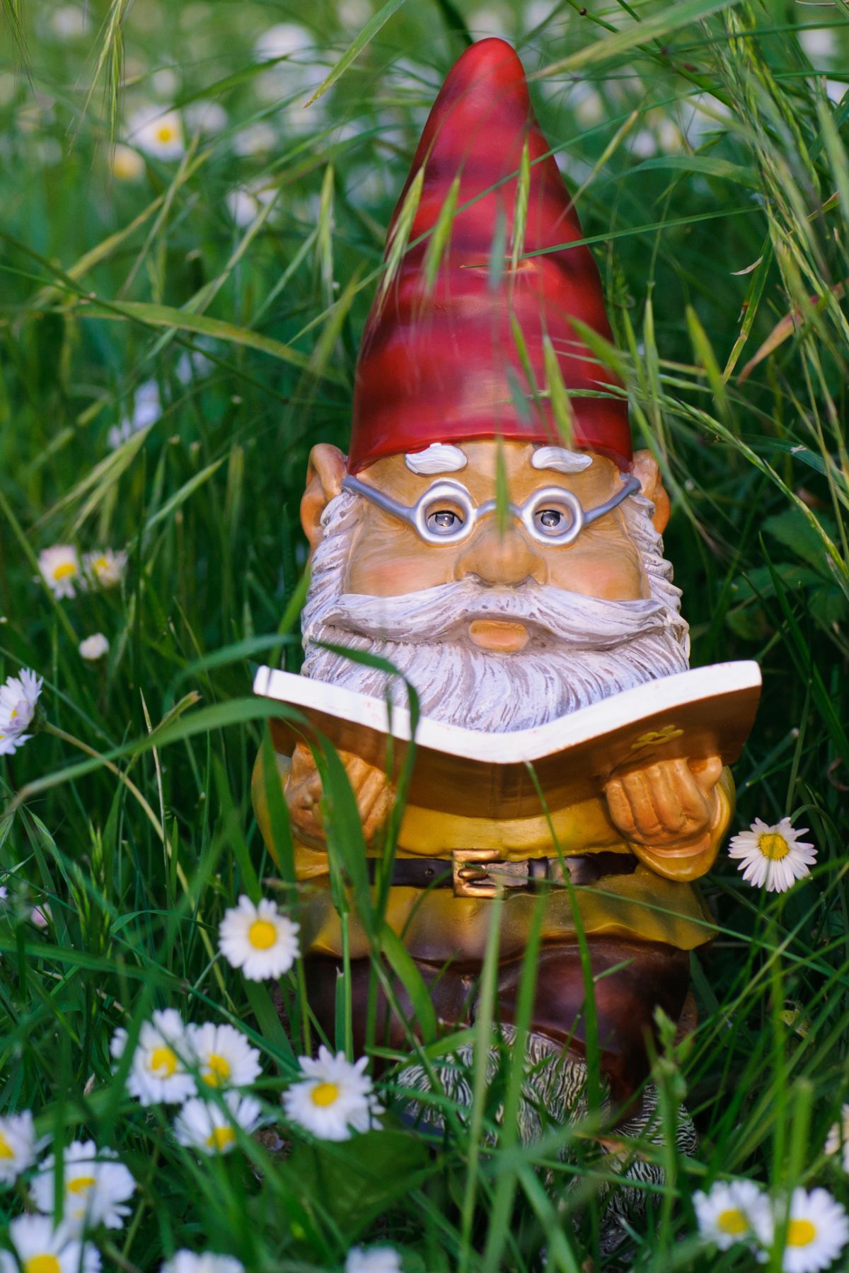 The Best Garden Themes You'll Love! | Montana Happy