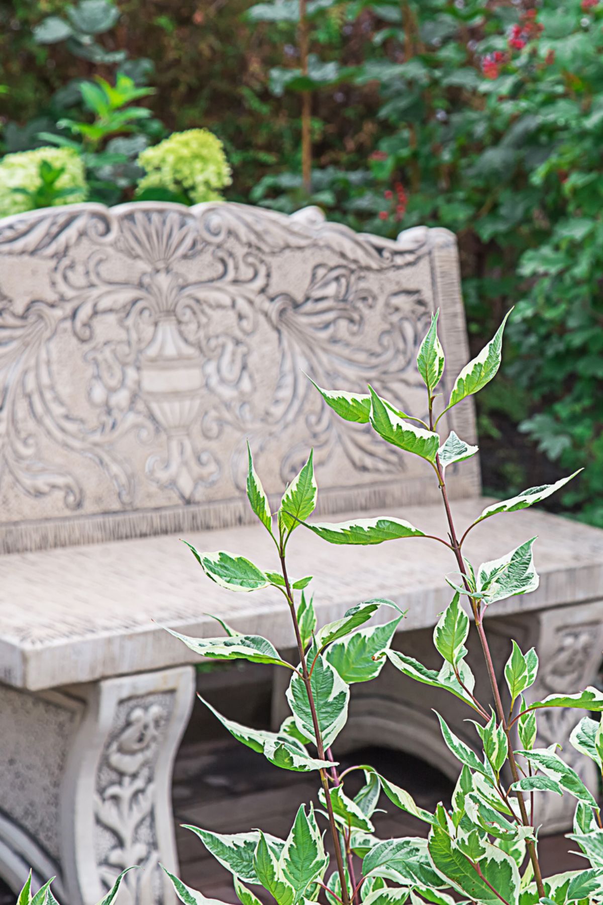 How to Create a Moonlight Garden | Montana Happy