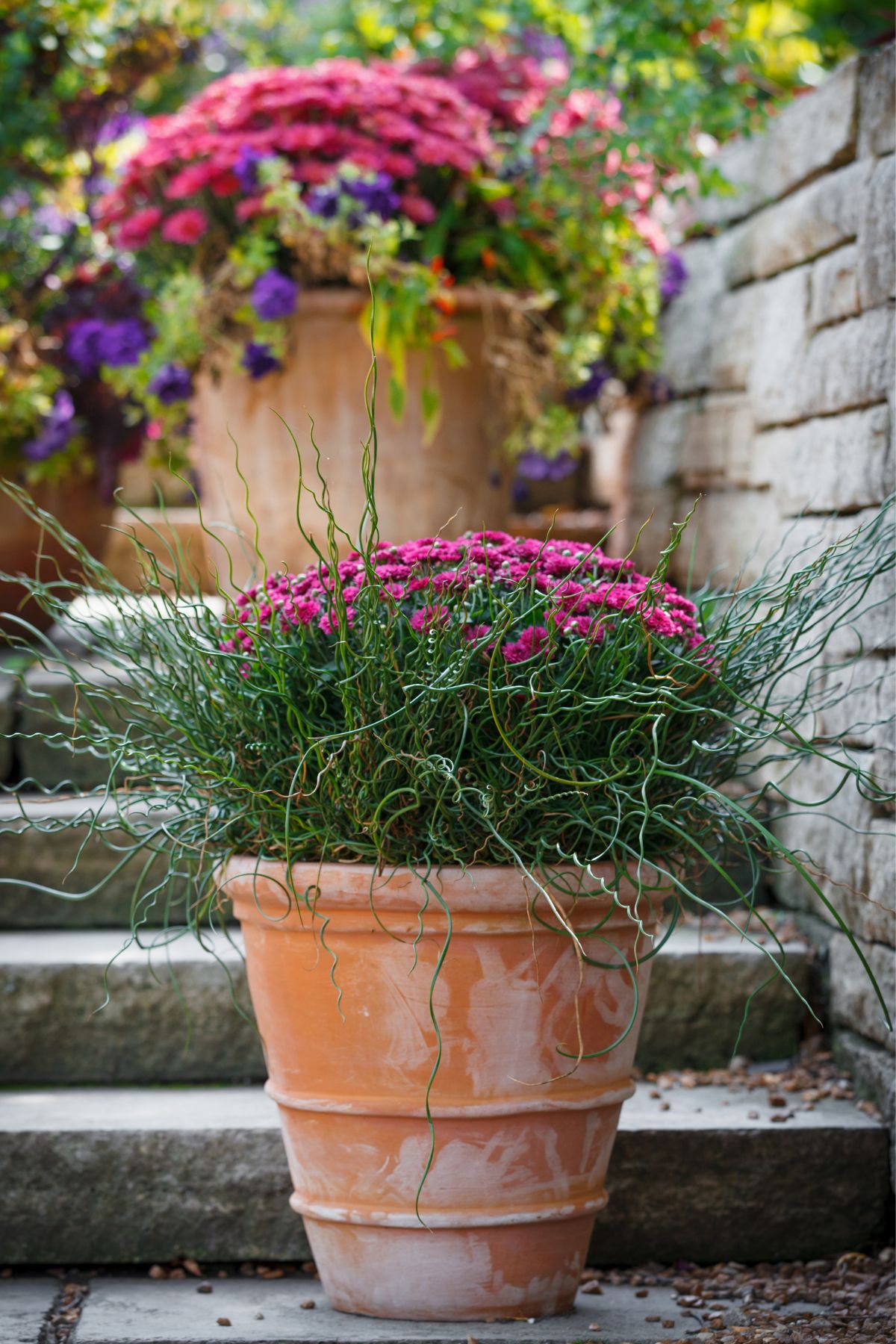 Fall Garden Ideas: Achieve a Stunning Seasonal Look | Montana Happy
