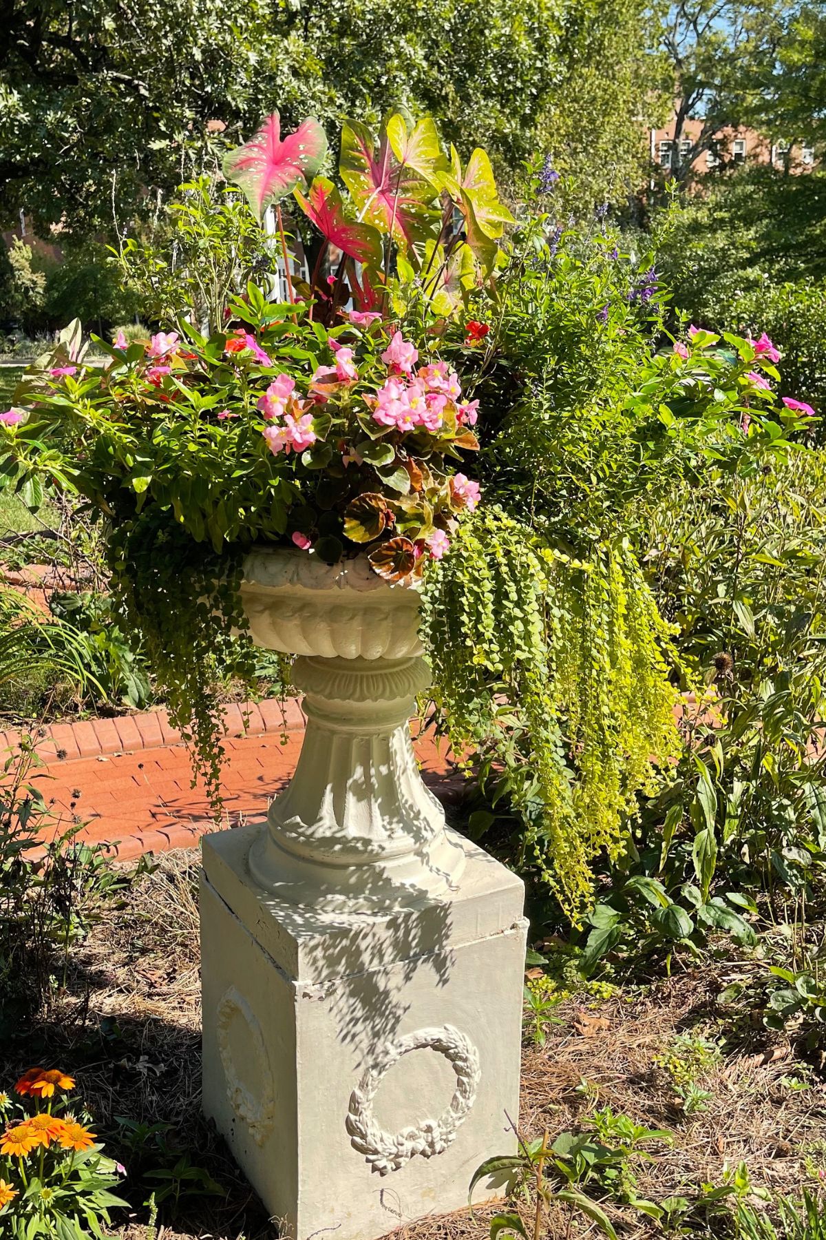 Fall Garden Ideas: Achieve a Stunning Seasonal Look | Montana Happy