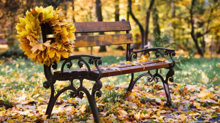 Fall Garden Ideas: Achieve a Stunning Seasonal Look | Montana Happy