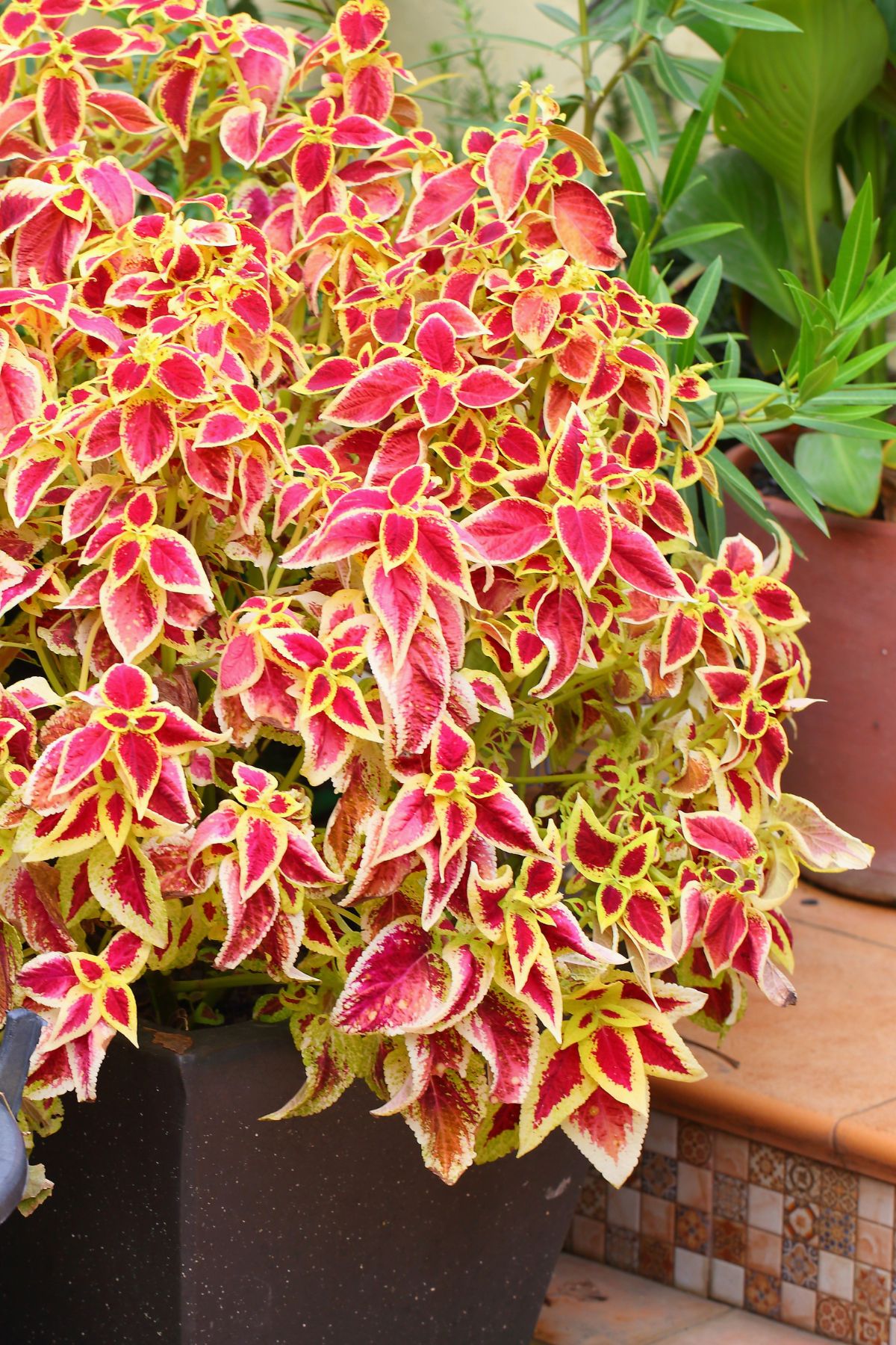 Fall Garden Ideas: Achieve a Stunning Seasonal Look | Montana Happy