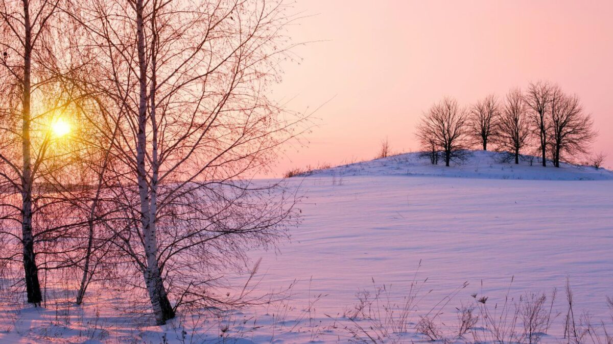 A Pink Winter: Ideas for a Brighter Season | Montana Happy
