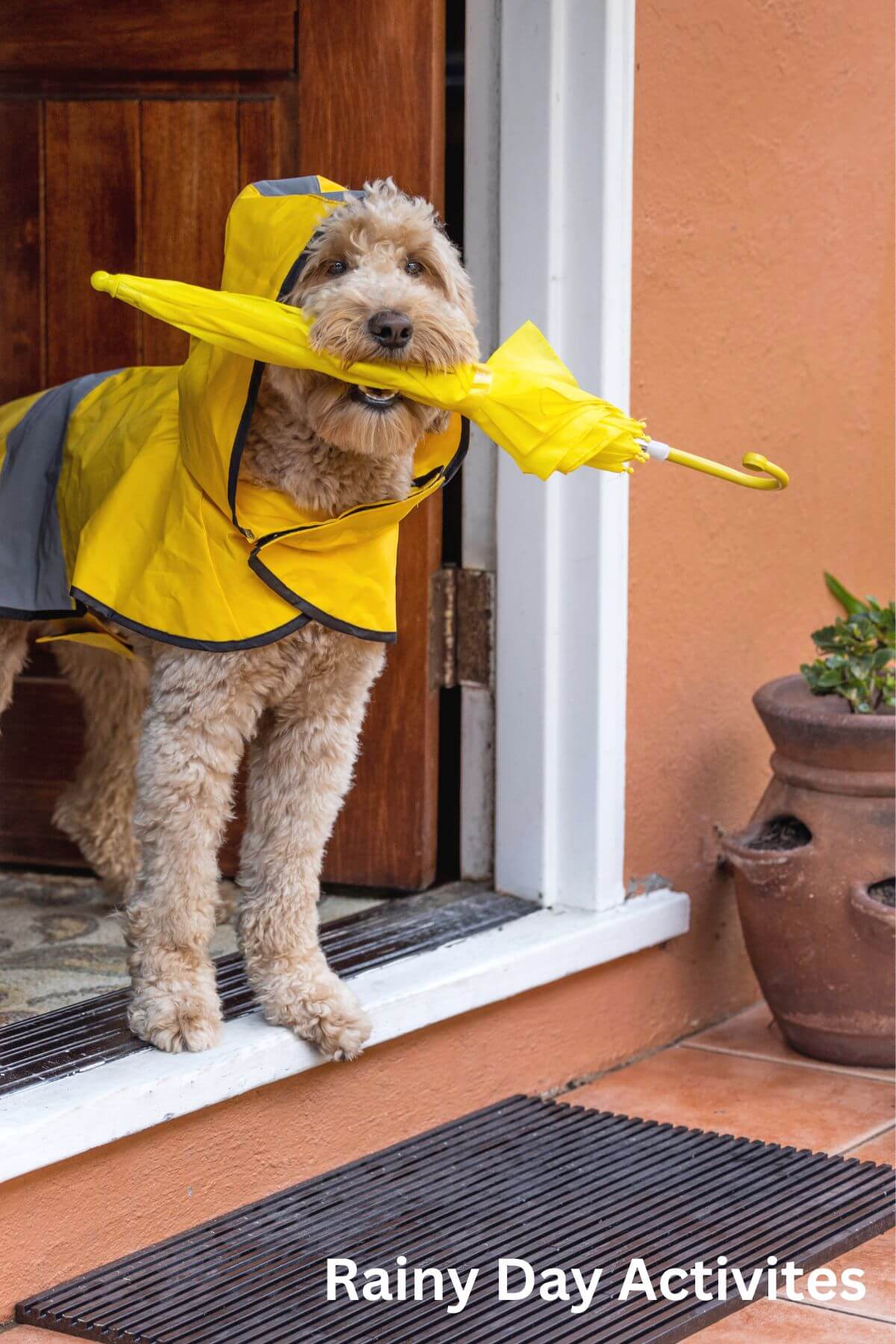 BEST March Birthday Ideas for Women | Montana Happy