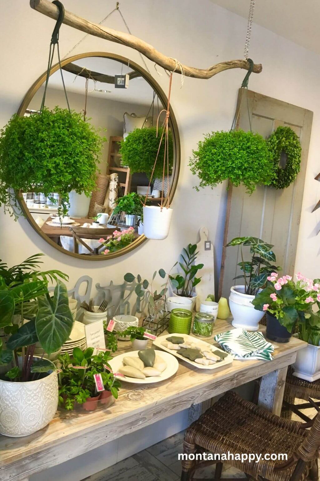 The Best CottageCore Houseplant Styling Tips | Montana Happy
