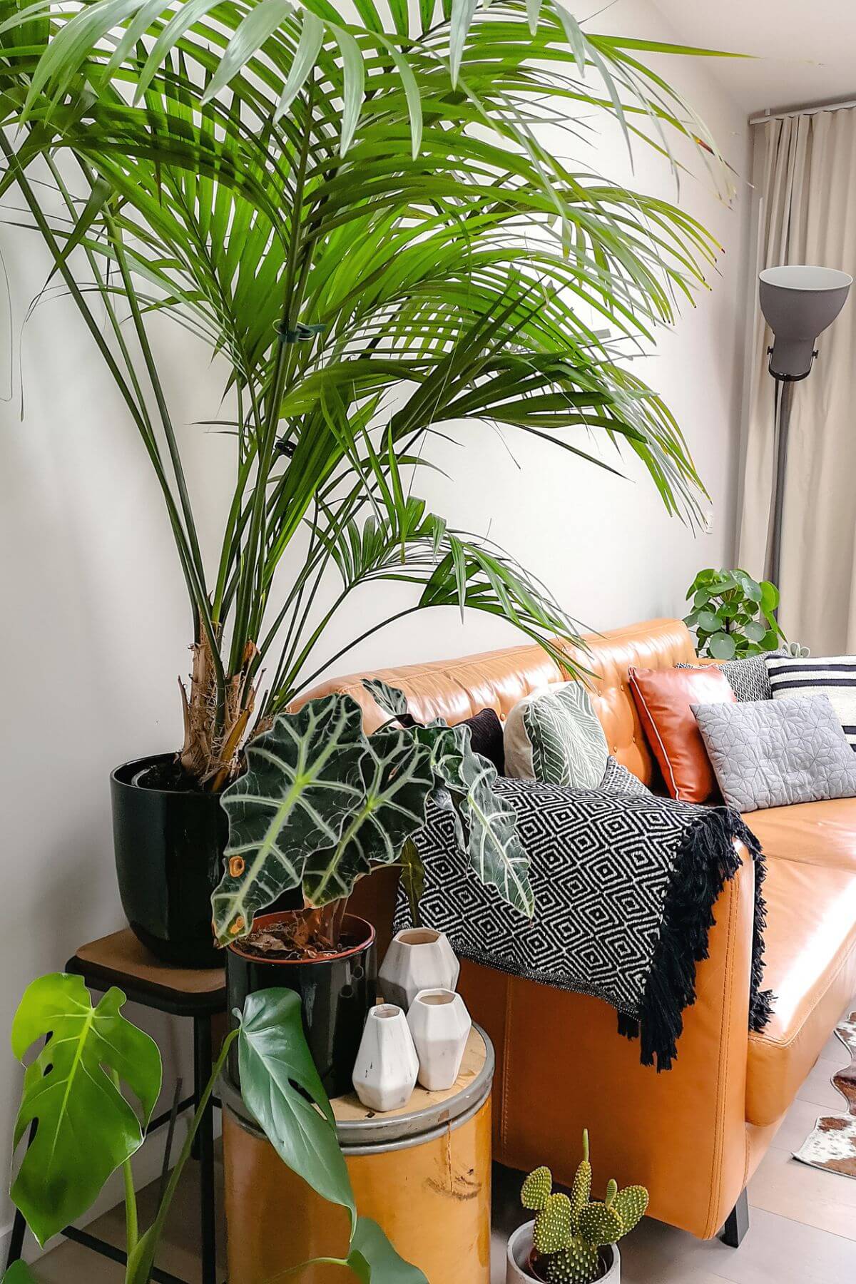 The Best CottageCore Houseplant Styling Tips | Montana Happy