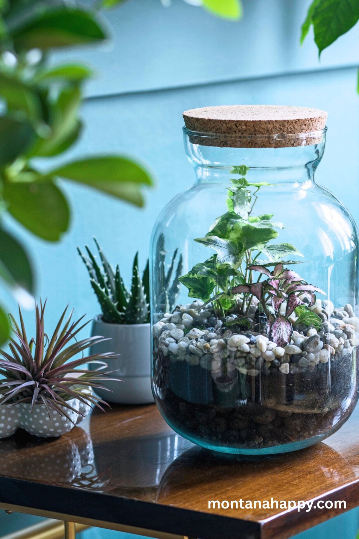 The Best CottageCore Houseplant Styling Tips | Montana Happy