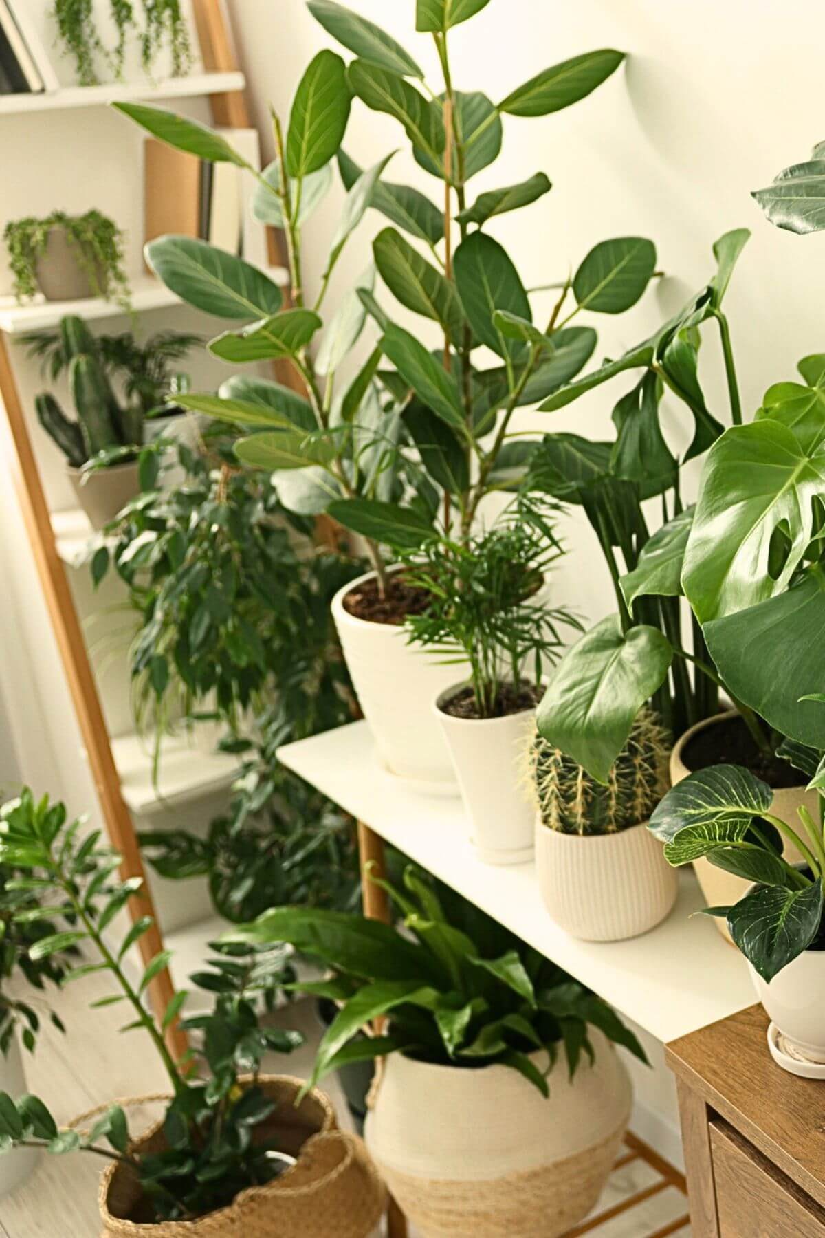 The Best CottageCore Houseplant Styling Tips | Montana Happy