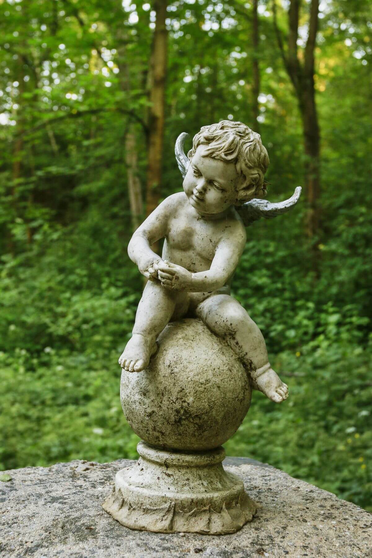 Whispers Beyond the Gate: Crafting Your Secret Garden | Montana Happy